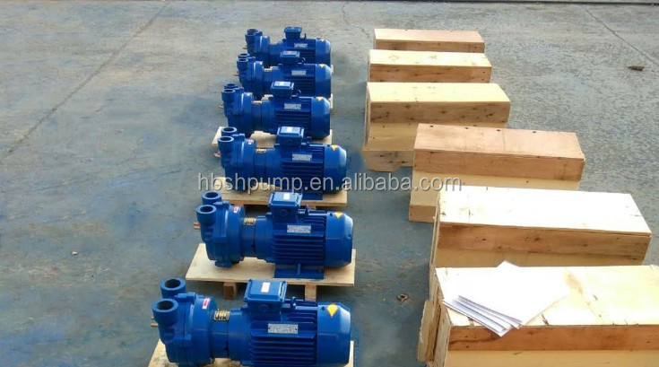 2bv Series Vacuum Pumps: 2060, 2061, 2070, 2071, 5110, 5121, 5131, High Quality 2bv Series ...