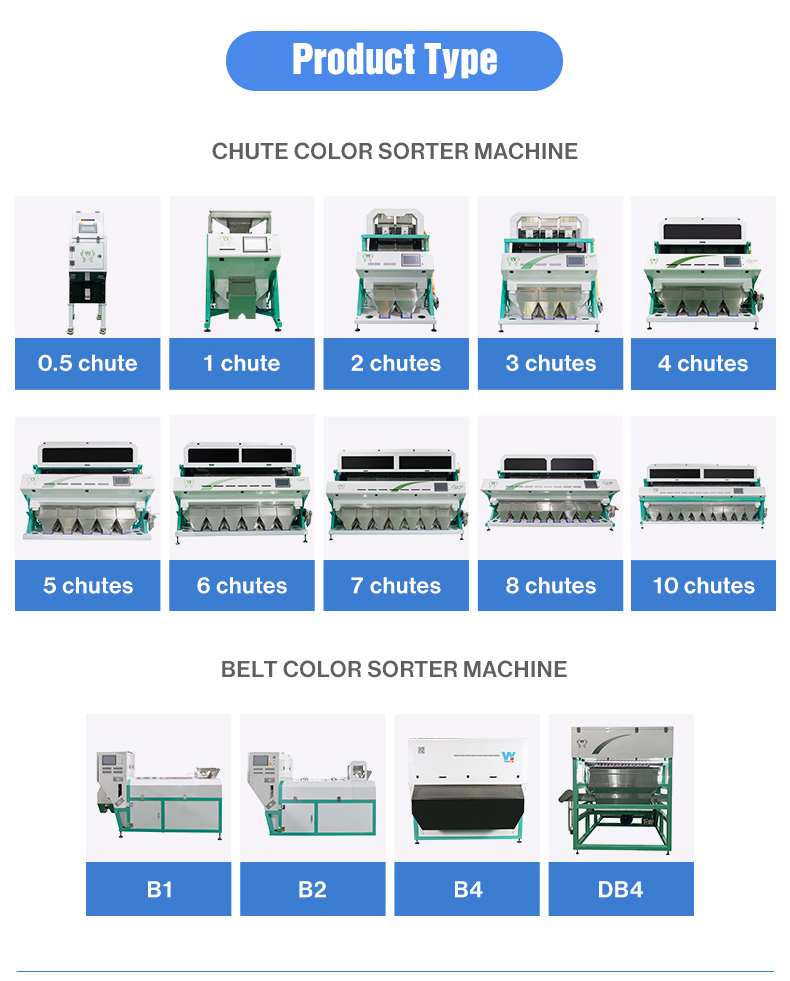 Wenyao Ai Sorting Machine: Coffee Beans Color Sorter & Multi-function Seed Destoner, High ...