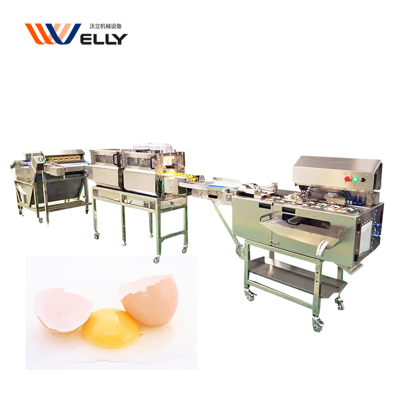 Continuous Chicken Egg Washing And Separation Machine, High Quality Continuous Chicken Egg ...