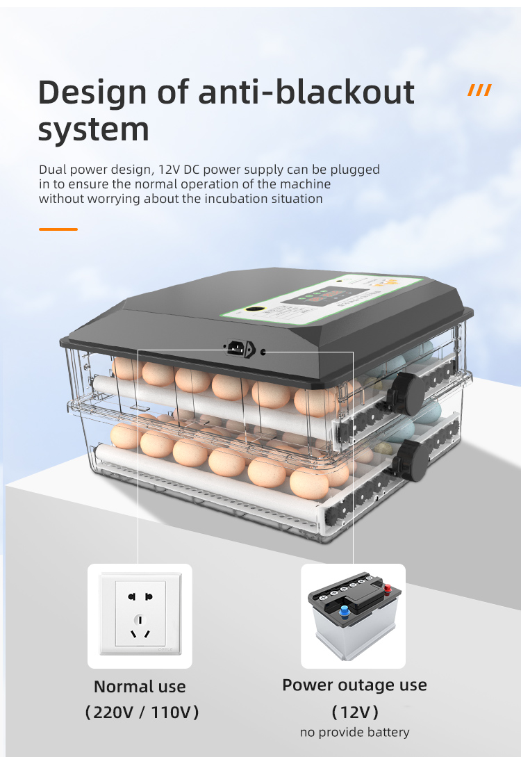 192-batch Automatic Mini Egg Incubator: A Compact Solution For ...