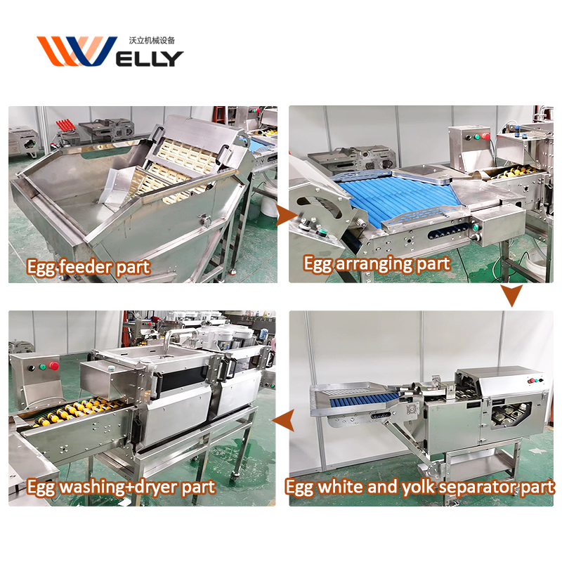 Continuous Chicken Egg Washing And Separation Machine, High Quality Continuous Chicken Egg ...