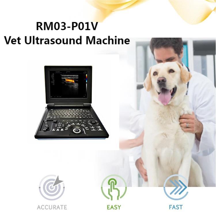 Rayman Veterinary Full Digital Portable Ultrasound Scanner For Animals, High Quality Rayman ...
