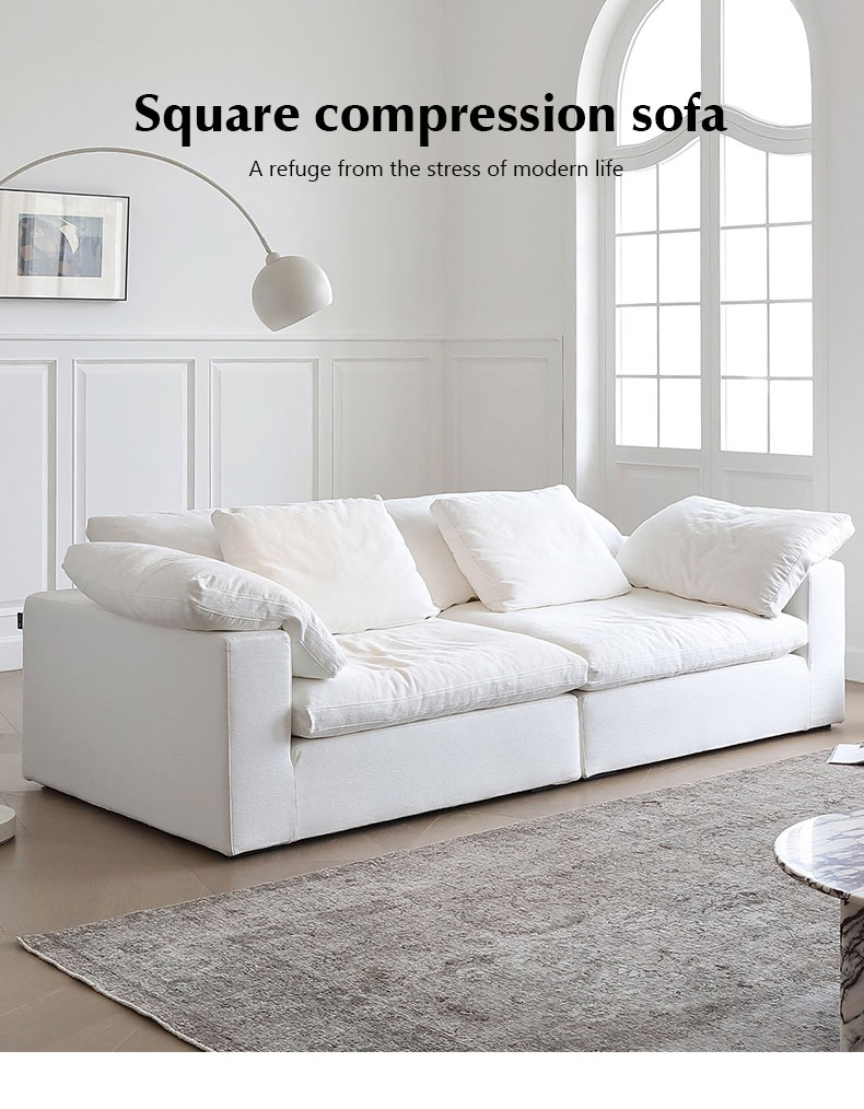 Luxury Modular Cloud Sofa - 2 Seat Vacuum Compression Full Foam Combination Sleeper Sofa, High ...