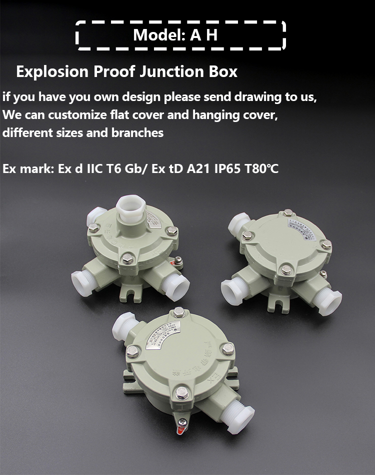 Explosion Proof Terminal Junction Boxes Ip65 - 1 Way, 2 Ways, 3 Ways, Flat, High Quality ...