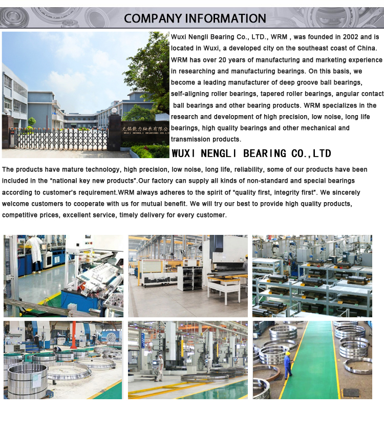 Excavator Slewing Bearing 011.45.1600.03 Turntable Slewing Bearing, High Quality Excavator ...