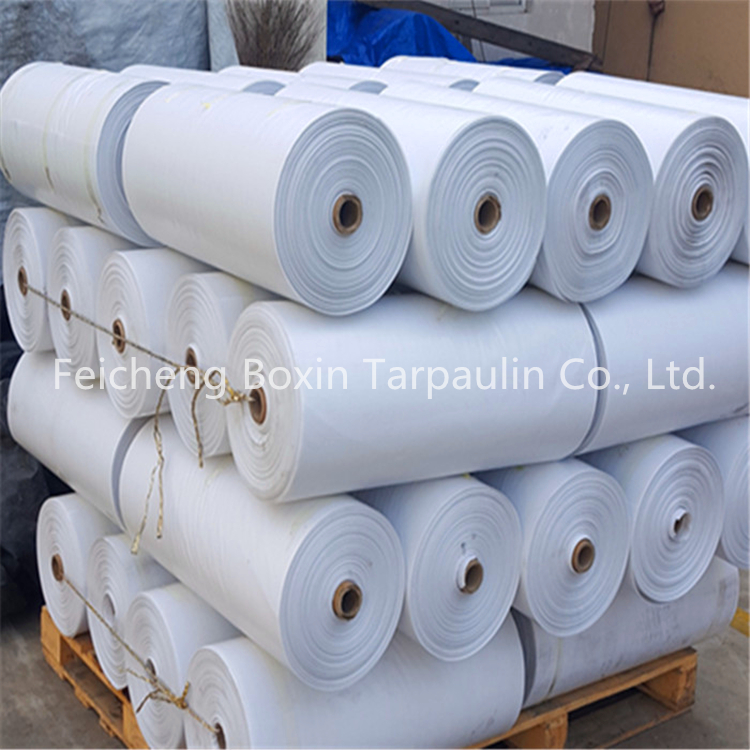 China Factory Waterproof Pe Tarpaulin Production, High Quality China Factory Waterproof Pe ...