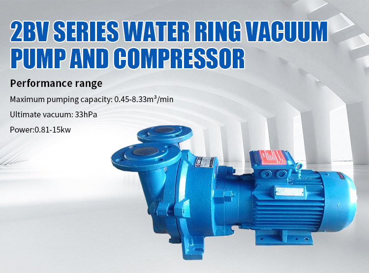 2bv Series Liquid Ring Vacuum Pump, High Quality 2bv Series Liquid Ring Vacuum Pump on Bossgoo.com