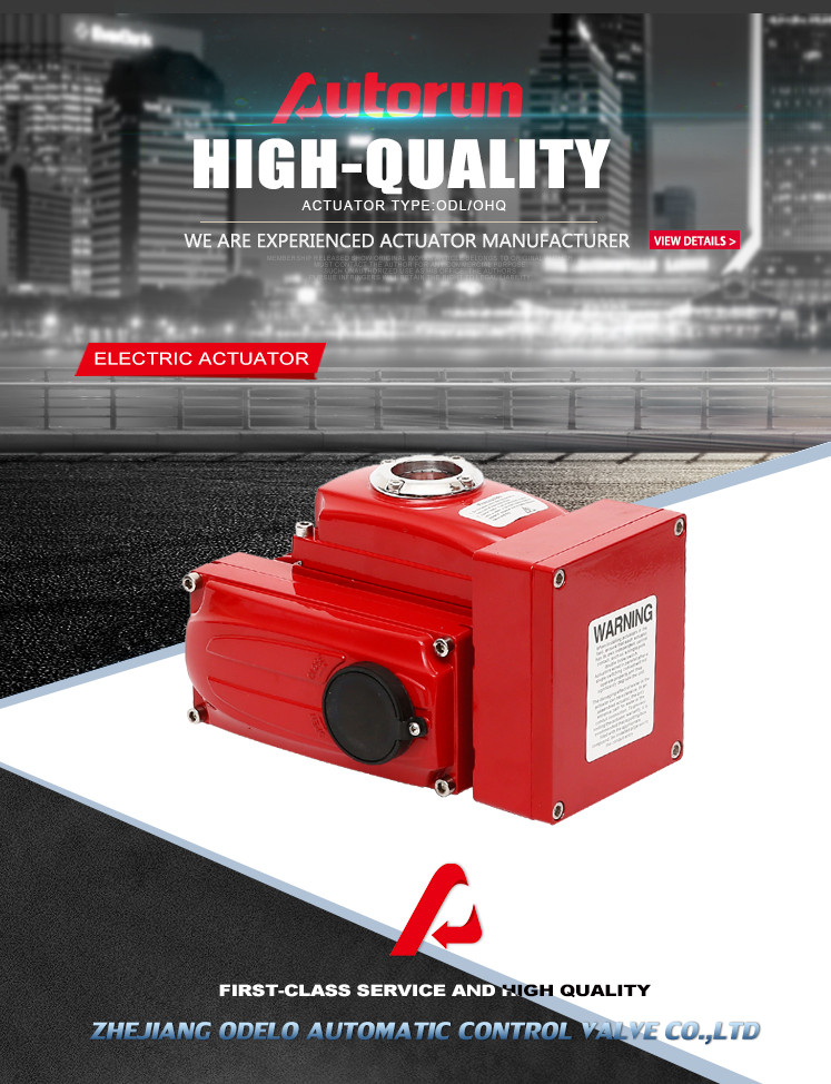 Electric Actuator, Motorized Actuator, High Quality Electric Actuator, Motorized Actuator on ...