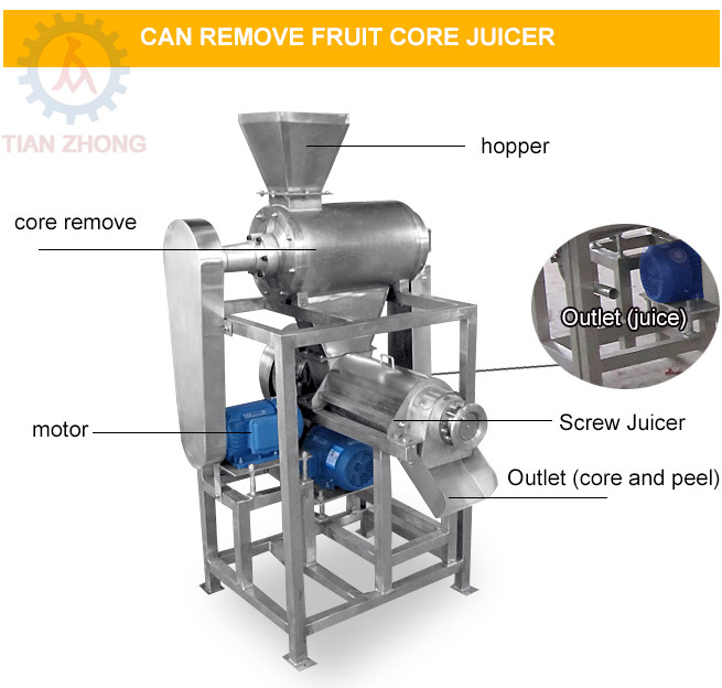 Acai Berry Pulp Grinding Machine: Fruit Processing Equipment, High Quality Acai Berry Pulp ...