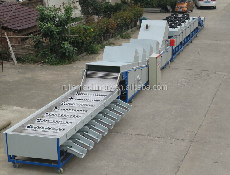 High Quality Industrial Citrus Grading Machine For Fruit Waxing And Sorting, High Quality High ...