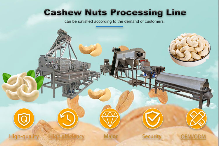 Automatic Cashew Nut Kernel Processing Machine, High Quality Automatic Cashew Nut Kernel ...
