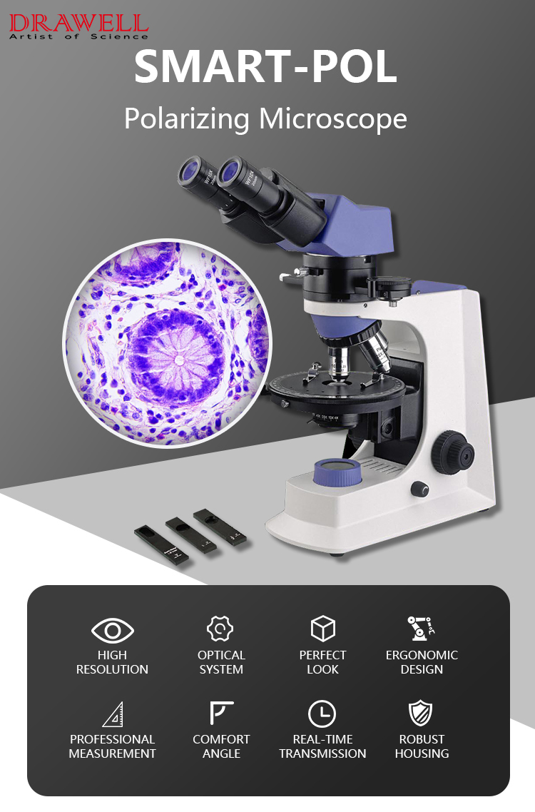 Smart Laboratory Microscope Polarizing Microscope For Rock And Ore Smart Biological Microscope ...