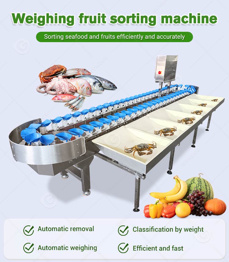 Automatic Seafood And Fruit Size Sorting Machine For Chicken, Shrimp, Oyster, And Mango, High ...