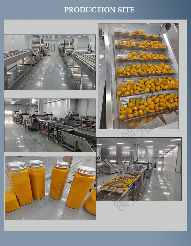 Mango Pulp Making Machine: Peeling, Pitting, And Pulping Production Line, High Quality Mango ...