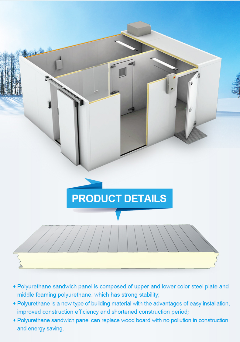 Walk In Freezer Cold Room Manufacturer, High Quality Walk In Freezer ... Walk In Freezer Cold Room Manufacturer, High Quality Walk In Freezer ...