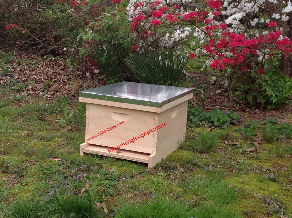 10- Frame Complete Langstroth Beehive With Frames And Foundation, High Quality 10- Frame ...
