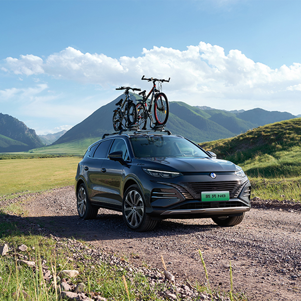 Byd Denza N8 Suv: Hybrid Comfort For Medium To Large Families, High Quality Byd Denza N8 Suv ...