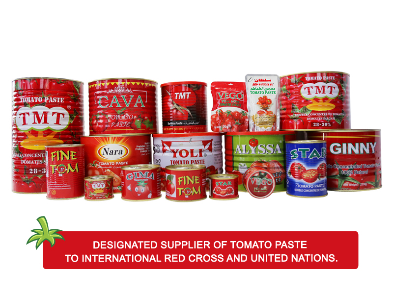 China Tomato Paste,Canned Tomato Paste,Sachet Tomato Paste Supplier