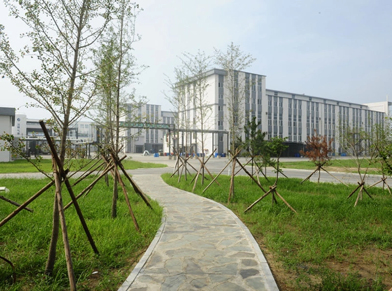 Factory - Fuxin Custchem Fine Chemical Co., Ltd.