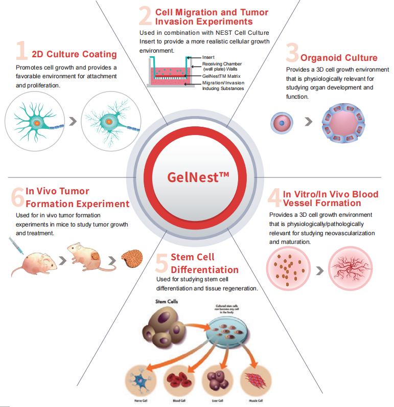 GelNest™ Matrix, high concentration China Manufacturers Suppliers ...