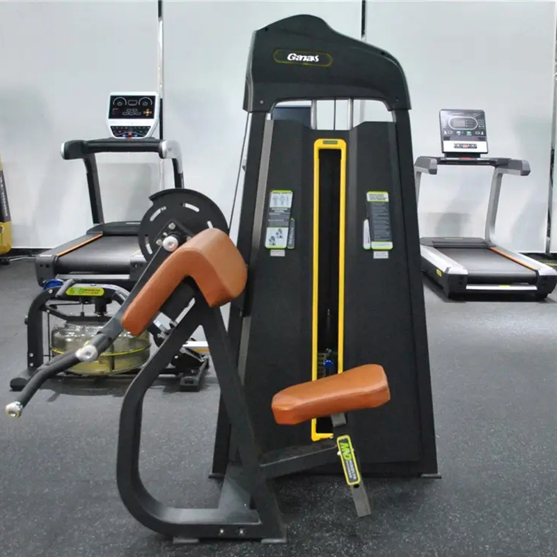 Professional Biceps Curl Machine, High Quality Professional Biceps Curl ...