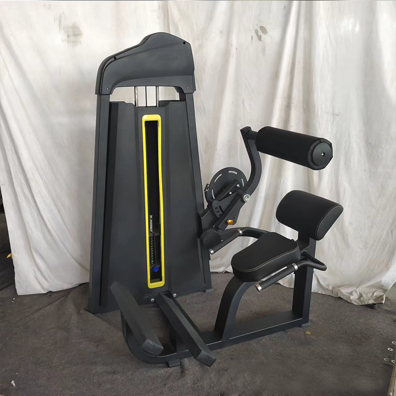 Seated Ab Back Extension Machine, High Quality Seated Ab Back Extension ...