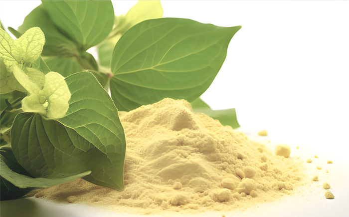 Ginsenoside Powder 80% Ginseng Root Extract Ginseng Capsules, High ...