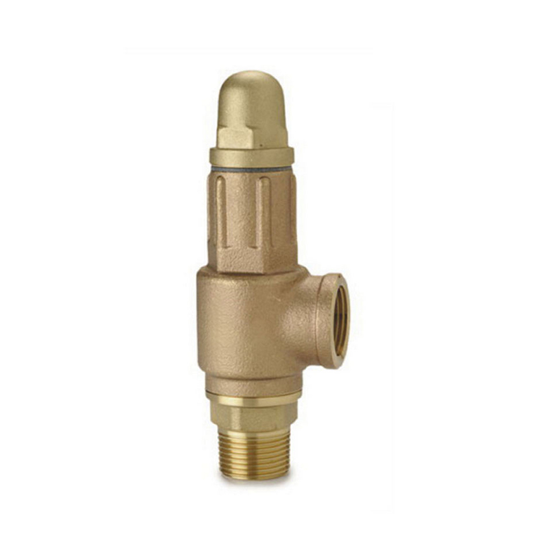 Top 10 Spring Type Safety Valve Manufacturers