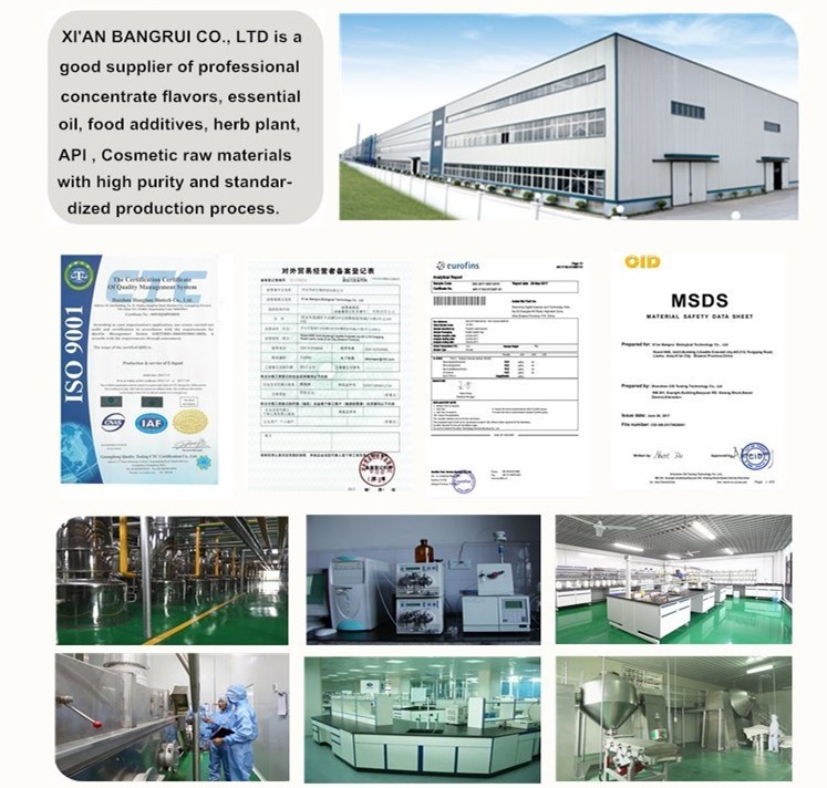 High Quality Gigawhite Powder Cosmetic Grade Giga White For Skin ...