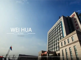 Weihua Group - Weihua Crane