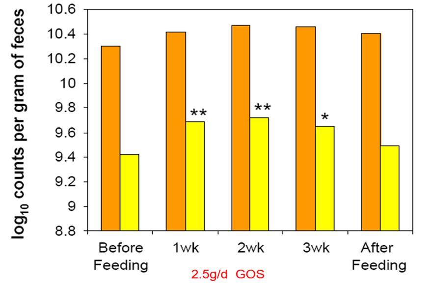 Galactooligosaccharides Gos 90 분말 유아 공식, Bossgoo.com의 고품질 ...