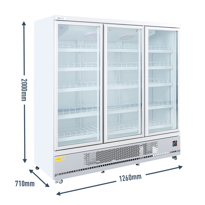 Portable Double Glass Door Upright Freezer, High Quality Portable ...