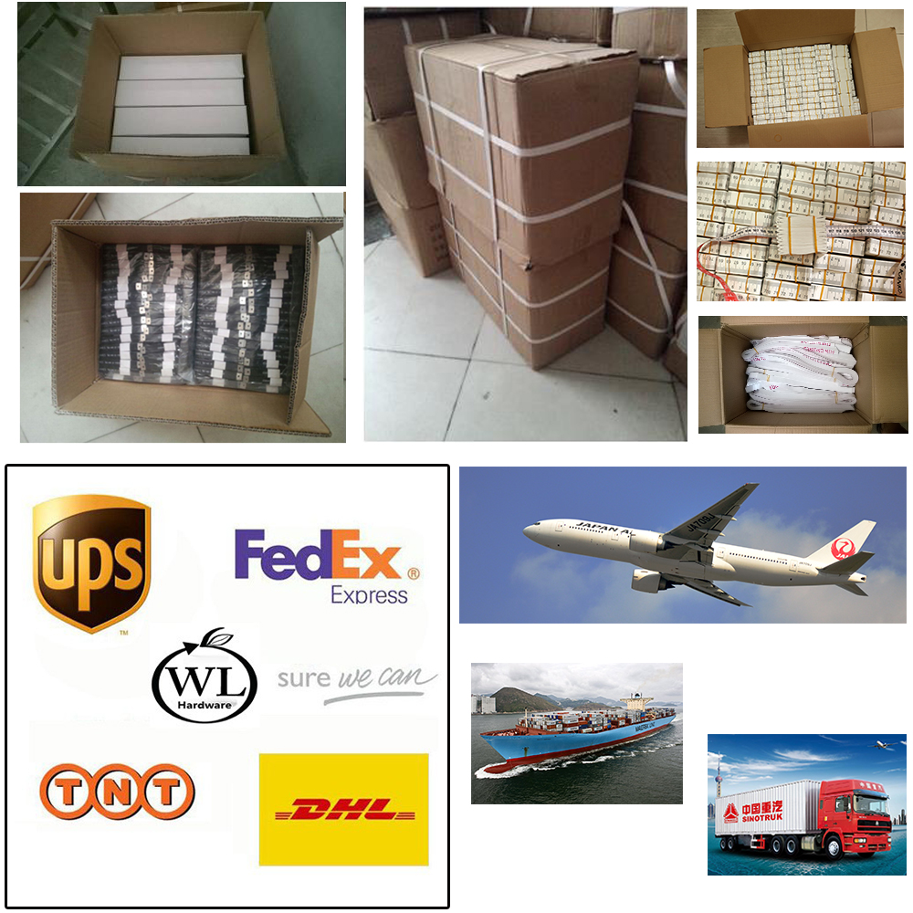 Stainless Steel Spring Belt Clip, High Quality Stainless Steel Spring ...