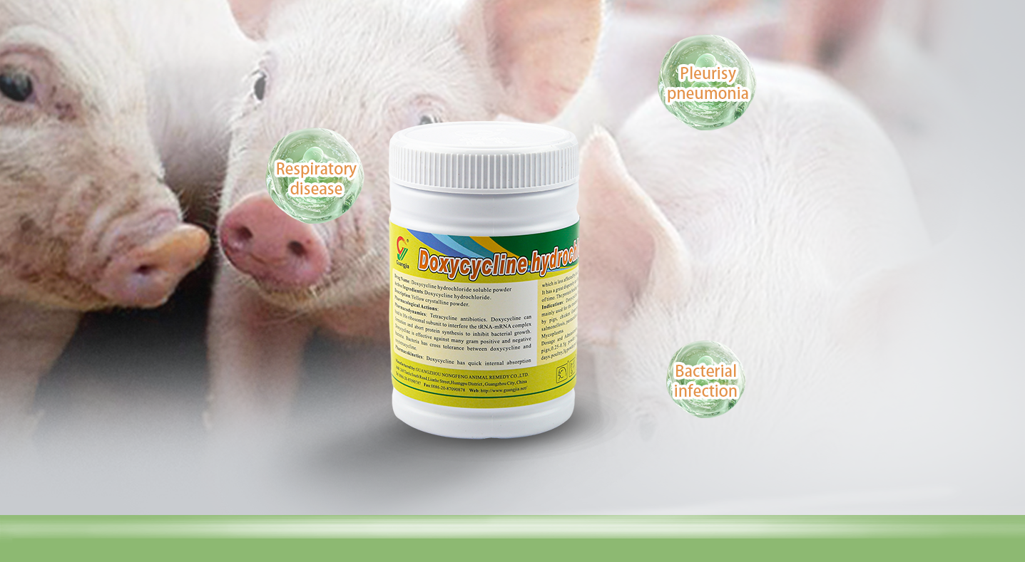 Effective Control Of Mycoplasma And E. Coli With Doxycycline Hyclate ...