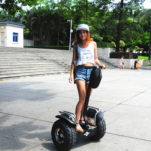 Bigger Power Segway Type Personal Transporter, High Quality Bigger Power Segway Type Personal ...