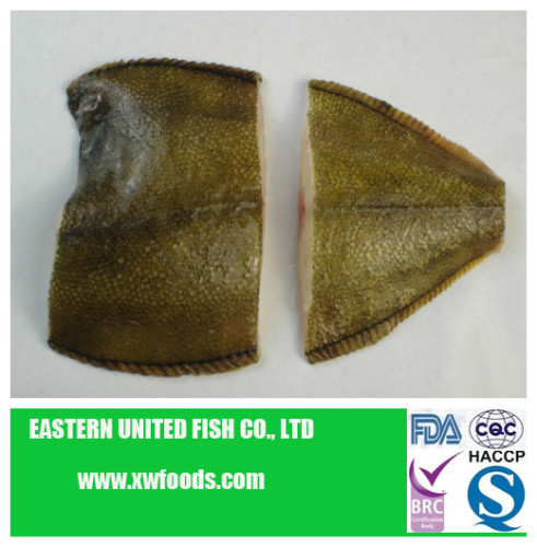 Sole-yellow Fin Fish Fillets, High Quality Sole-yellow Fin Fish Fillets ...
