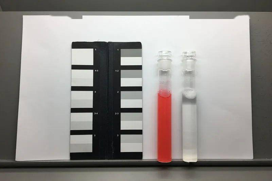 Method for evaluating the degree of staining of garment lotion