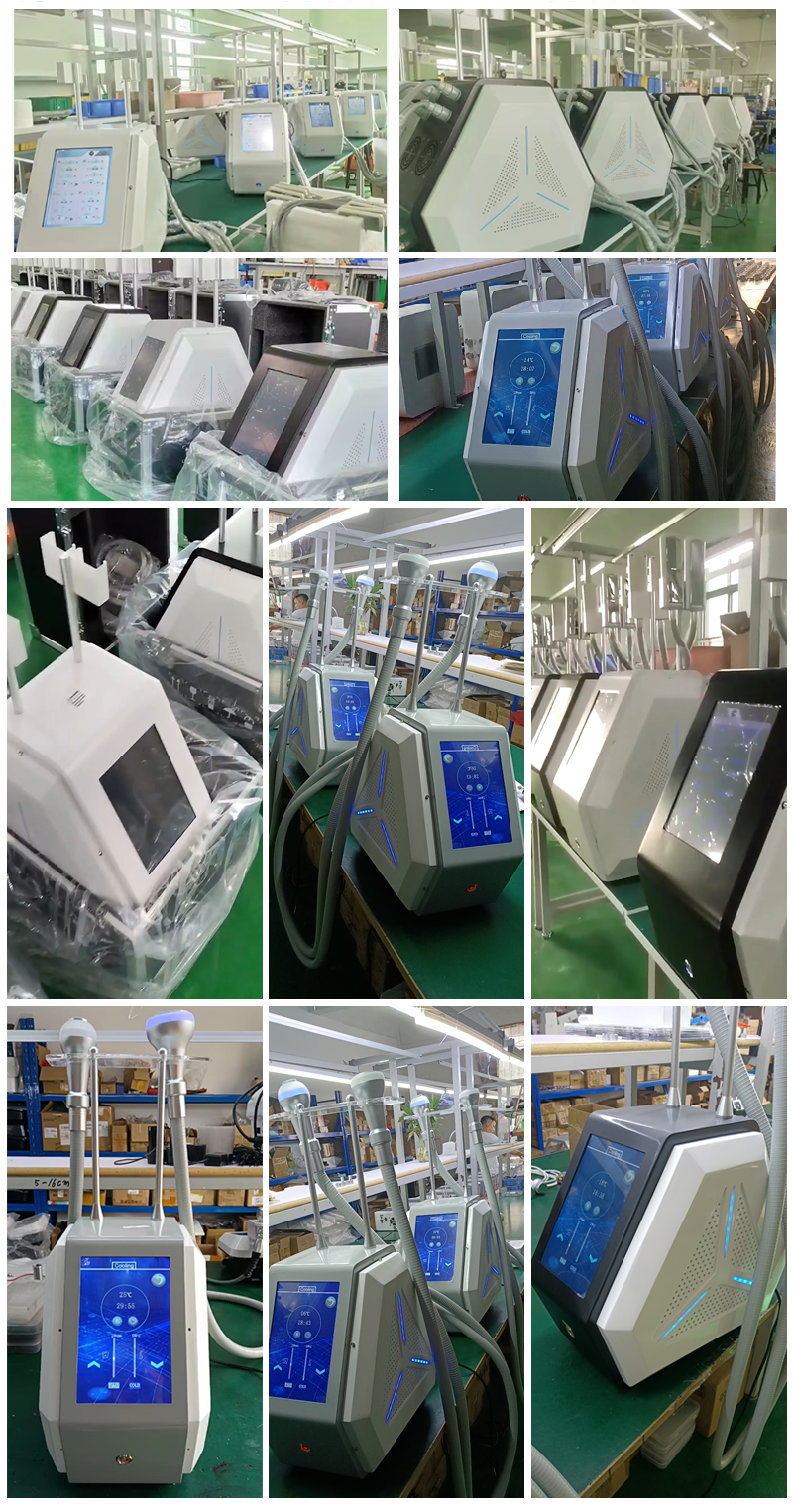 Criolipolisis Profesional With Dual Heads: Cryotherapy Containers For ...