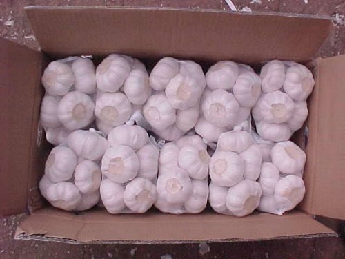 Fresh Garlic 10kg Per Carton, High Quality Fresh Garlic 10kg Per Carton ...
