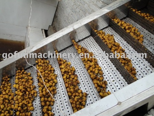 Fruit Processing Machine (fruit Elevator,fruit And Vegetable Processing ...