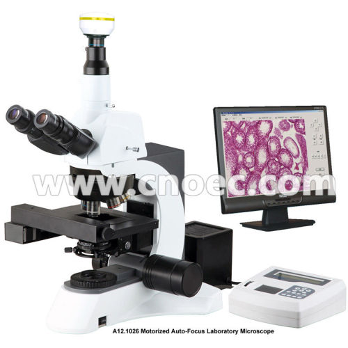 Trinocular Head Compound Optical Microscope Motorized auto Focus ...