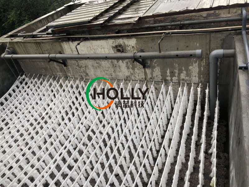 Offer Filter Media Biological Rope Type Bio Cord From China