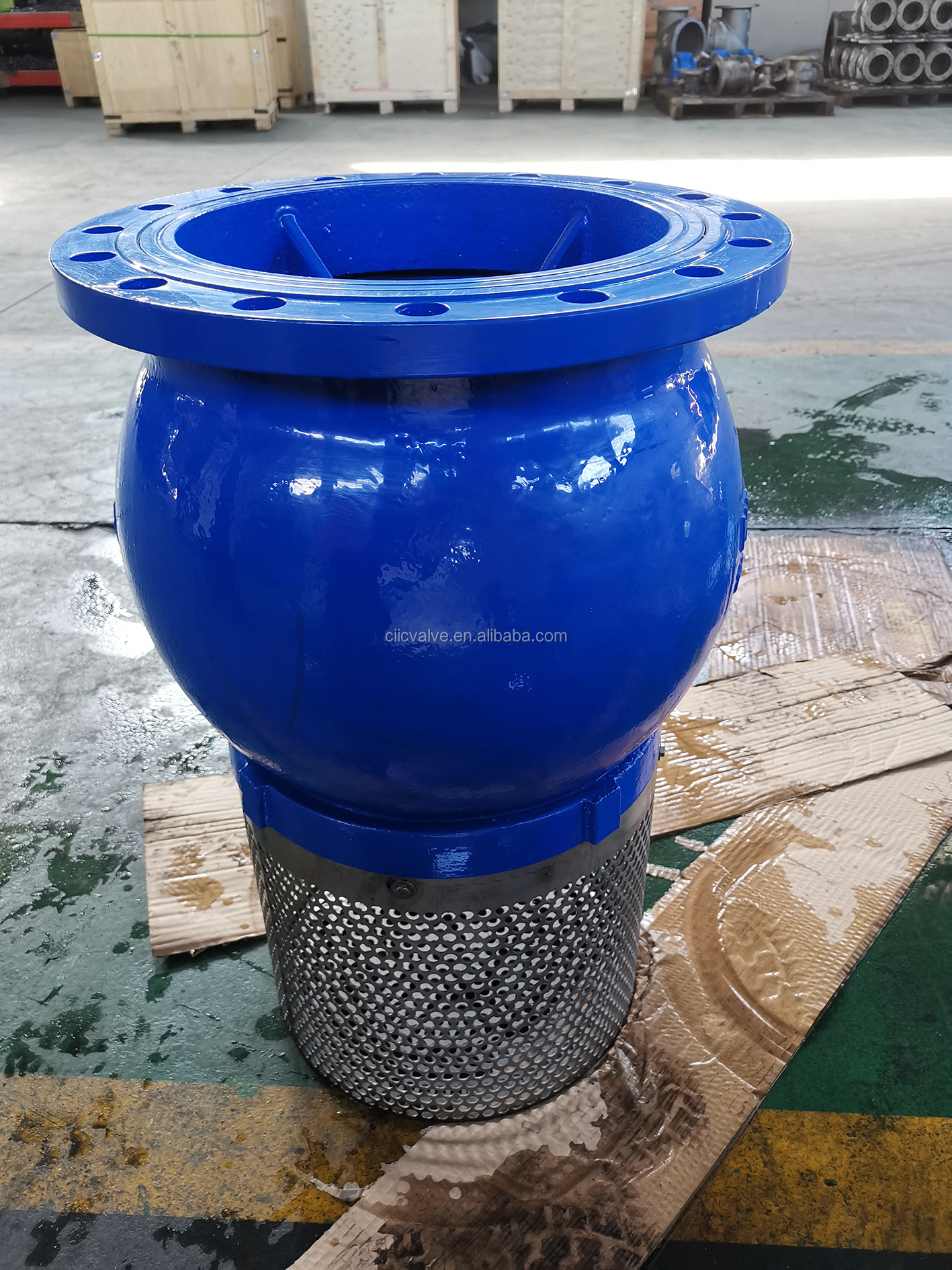 Dn100 Ductile Iron Foot Valve And Stainless Steel Strainer Foot Valve ...