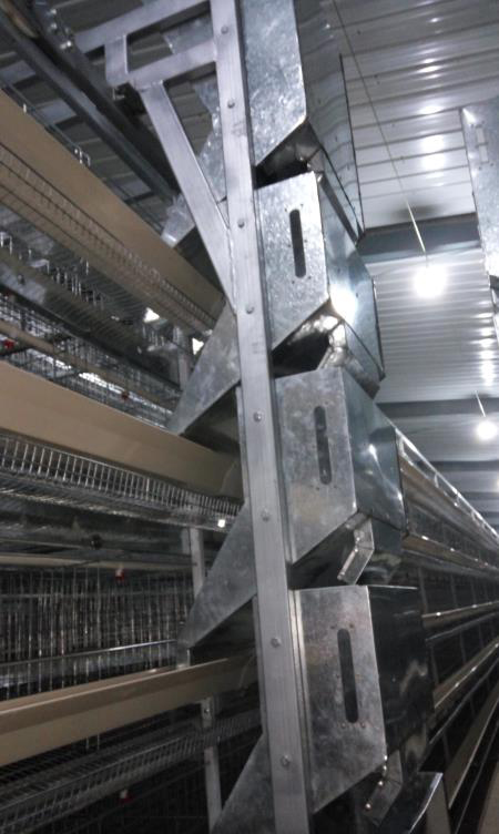 Automatic Chicken Feeding System Shuttle Feed Dispenser, High Quality ...