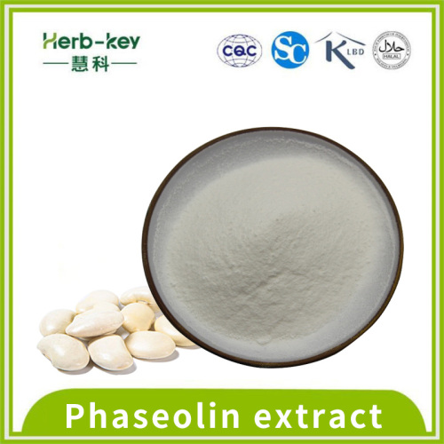 White Powder 1% Phaseolin, High Quality White Powder 1% Phaseolin on ...