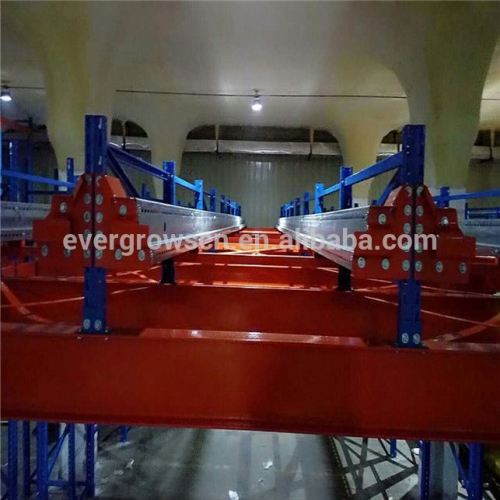 Shuttle Satellite Storage Rack System, High Quality Shuttle Satellite ...