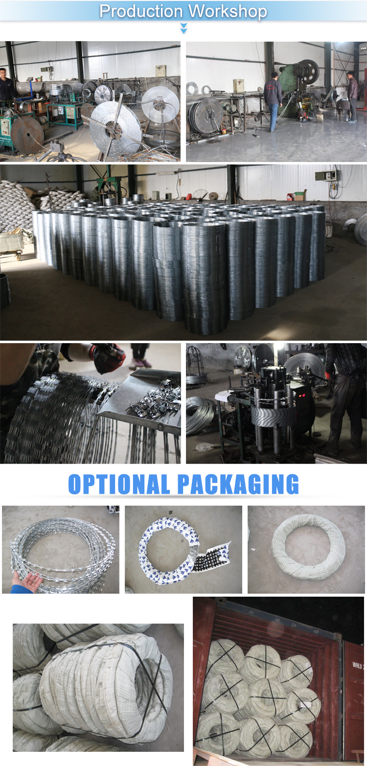 Price List For Bto22 9 Strip Concertina Razor Barbed Wire And Prison ...