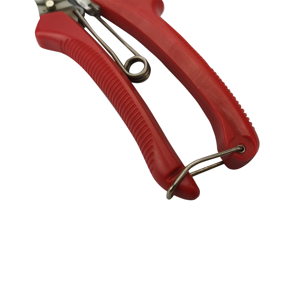 Efficient Garden Scissors Vs. Traditional Grip Pruning Shears: A ...