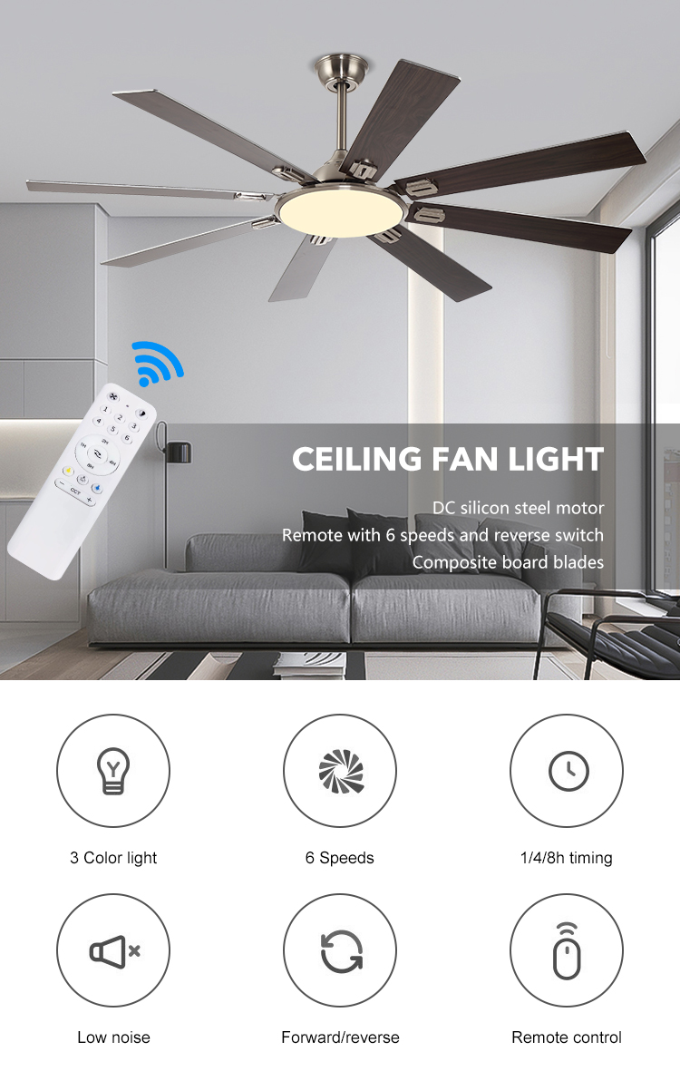 65 Inch Dc Motor Led Ceiling Fan With Composite Blades And Light, High ...
