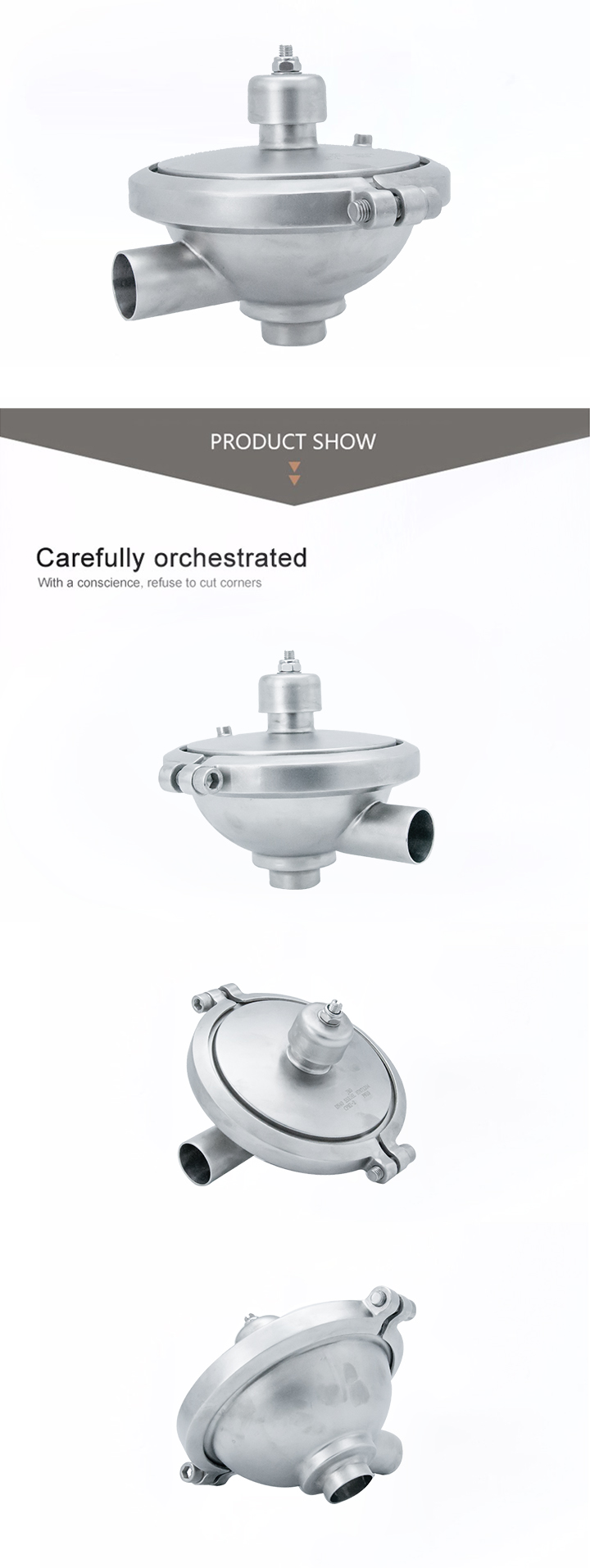 Cpmo-2 Sanitary Stainless Steel Constant Pressure Valve - Cpm Series ...